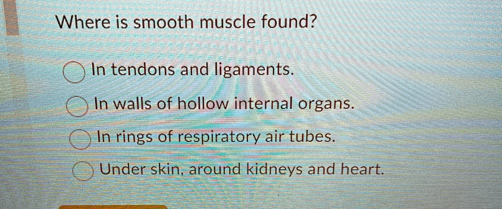 Where is smooth muscle found in tendons and ligaments in...