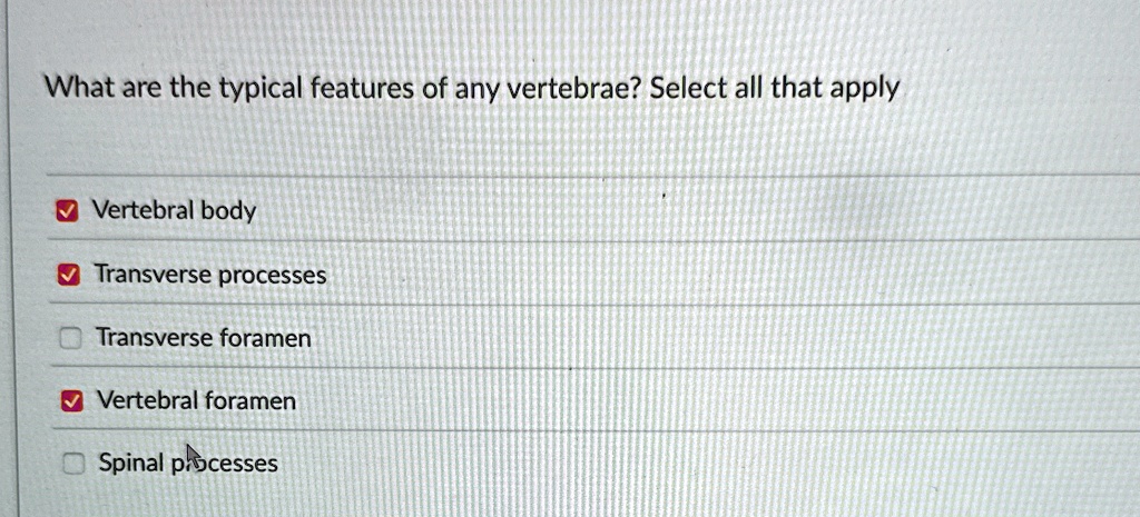 what are the typical features of any vertebrae select all that apply ...
