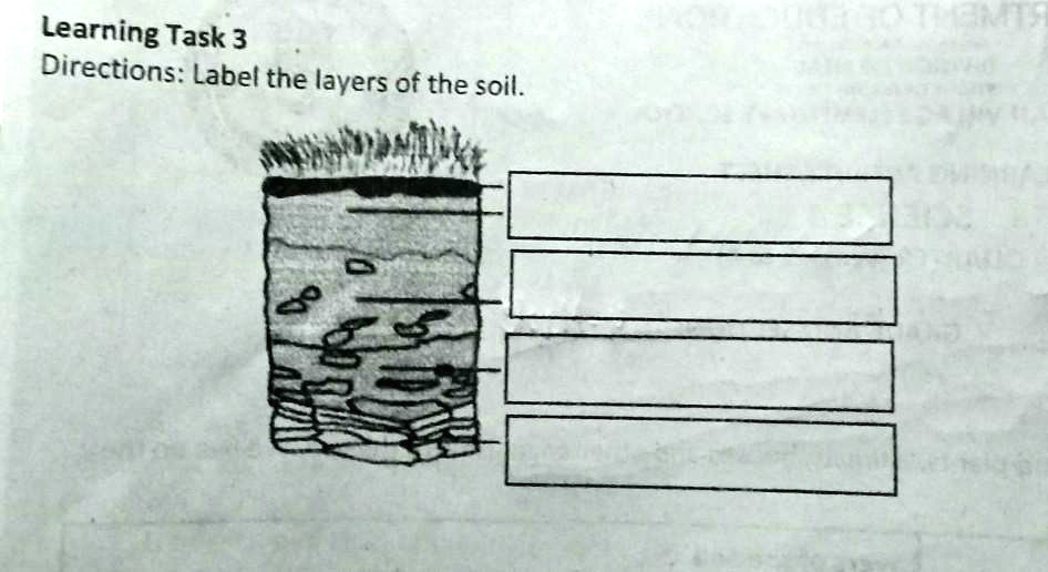 [GET ANSWER] Learning Task 3 Directions: Label the layers of the soil.