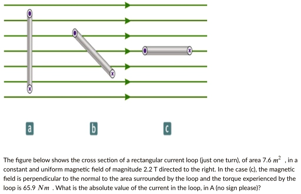 SOLVED: The figure below shows the cross section of a rectangular current loop (just one turn ...