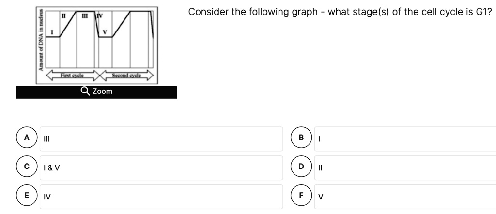 SOLVED: Consider the following graph what stage(s) of the cell cycle is G1? FE On Zoom I V