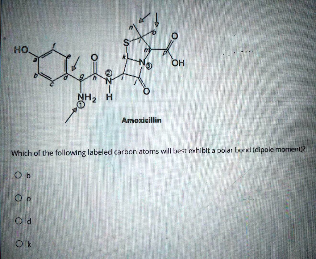 SOLVED: Ho OH NH2 H2O Amoxicillin Which of the following labeled carbon ...