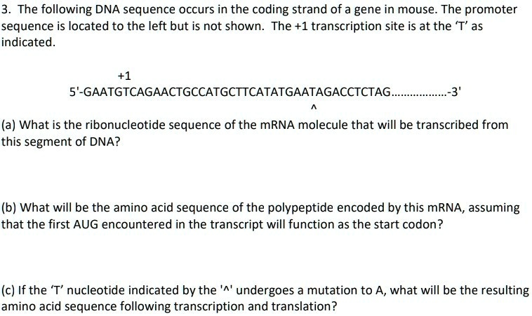SOLVED: The following DNA sequence occurs in the coding strand of a gene in mouse. The promoter ...