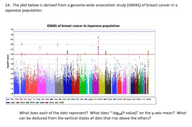 SOLVED:The plot below is derived from genome-wide association study ...