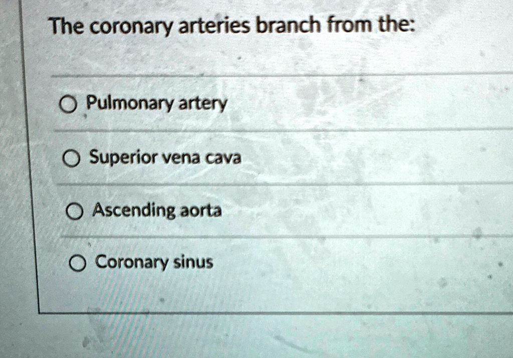 the coronary arteries branch from the pulmonary artery superior vena ...