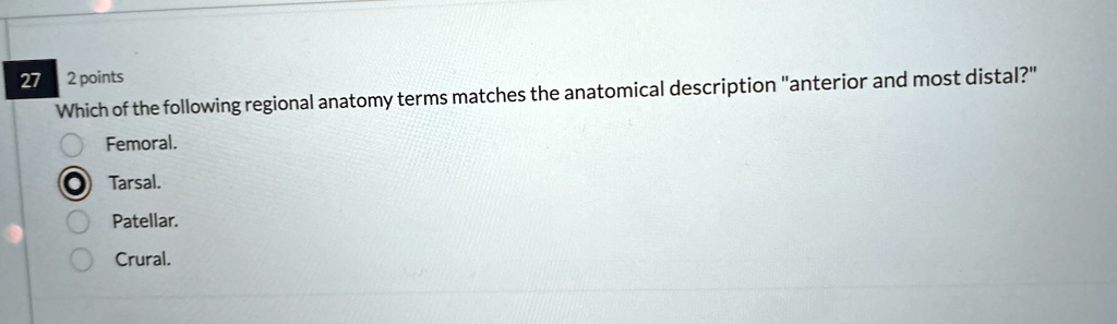 27 2 points Which of the following regional anatomy terms matches the ...