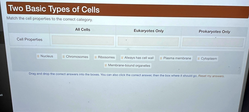 two basic types of cells match the cell properties to the correct ...
