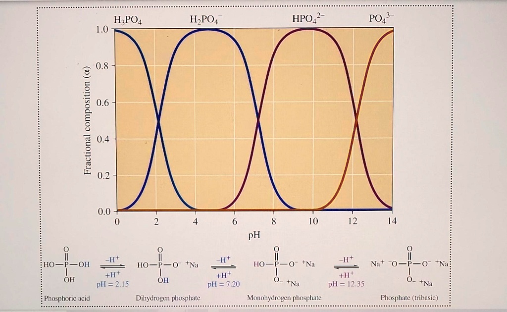 H3PO4 H2PO4- HPO42- PO43- 1.0 0.8 0.6 Fractional composition (α) 0.4 0. ...