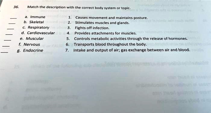 36. Match the description with the correct body system or topic. a ...