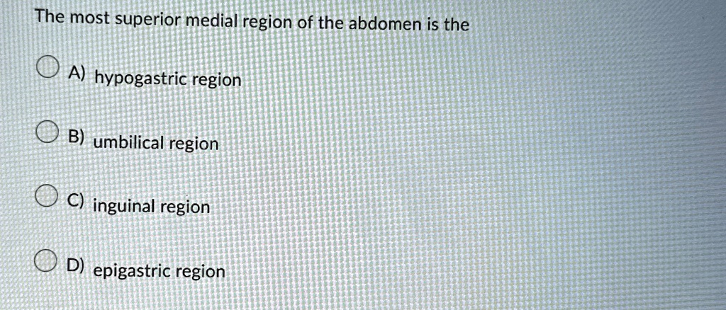 the most superior medial region of the abdomen is the a hypogastric ...