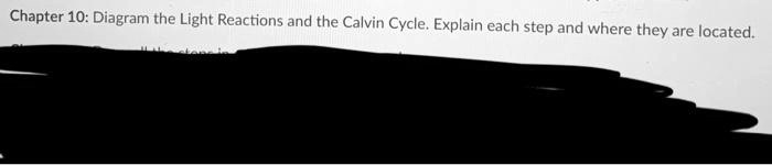 Chapter 10: Diagram the Light Reactions and the Calvin Cycle. Explain ...