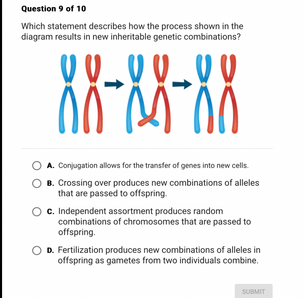 Question 9 of 10 Which statement describes how the process shown in the diagram results in new ...