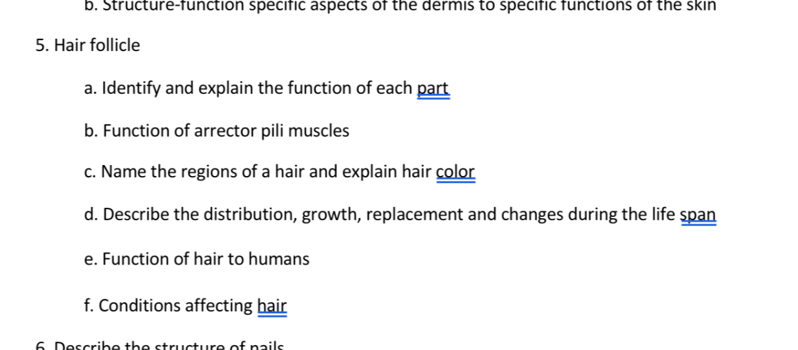 SOLVED: b. Structure-function specific aspects of the dermis to ... SOLVED: b. Structure-function specific aspects of the dermis to ...