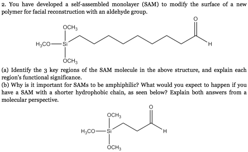 SOLVED: " You have developed a self-assembled monolayer (SAM) to modify ...