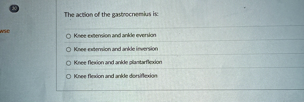the action of the gastrocnemius is knee extension and ankle eversion ...