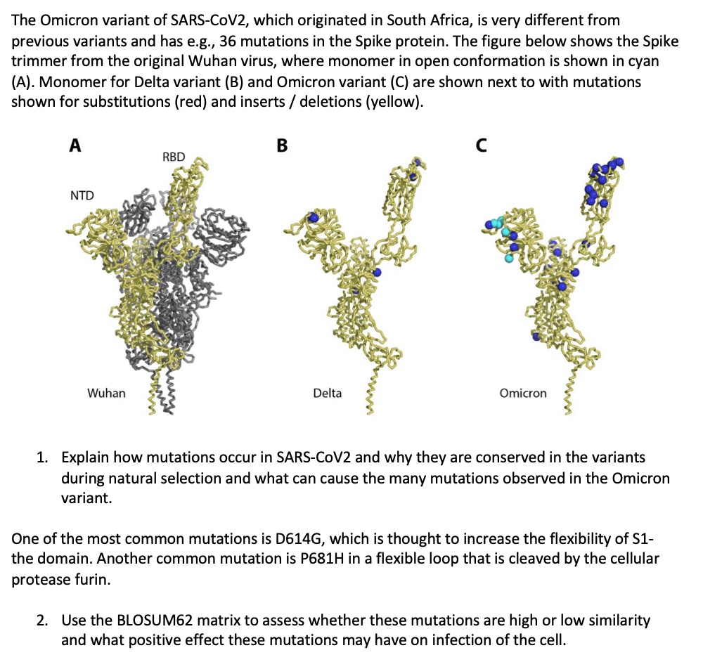 The Omicron variant of SARS-CoV-2, which originated in South Africa, is ...