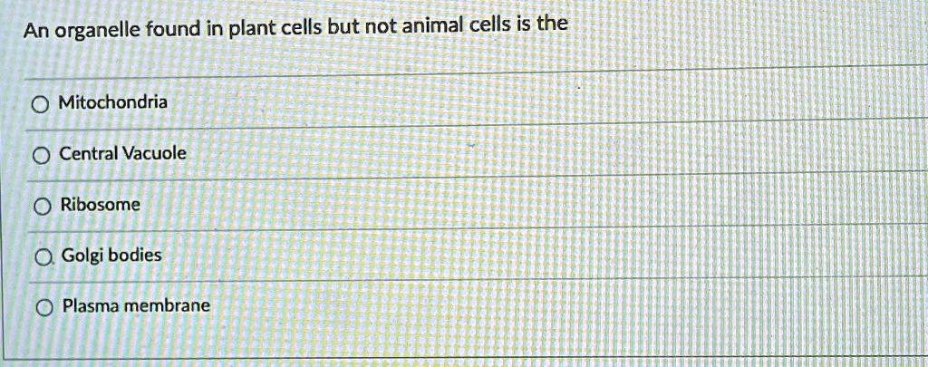 SOLVED: An organelle found in plant cells but not animal cells is the ...