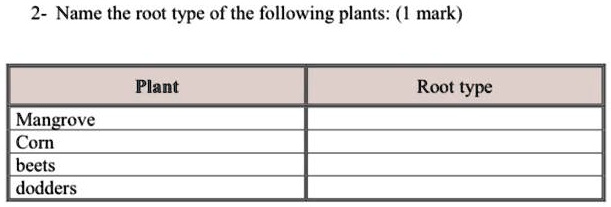 SOLVED: 2- Name the root type of the following plants:(l mark Plant ...