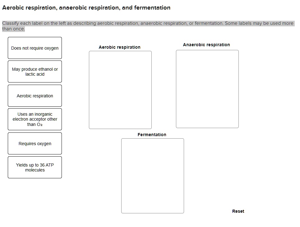 Aerobic respiration, anaerobic respiration, and fermentation Classify ...