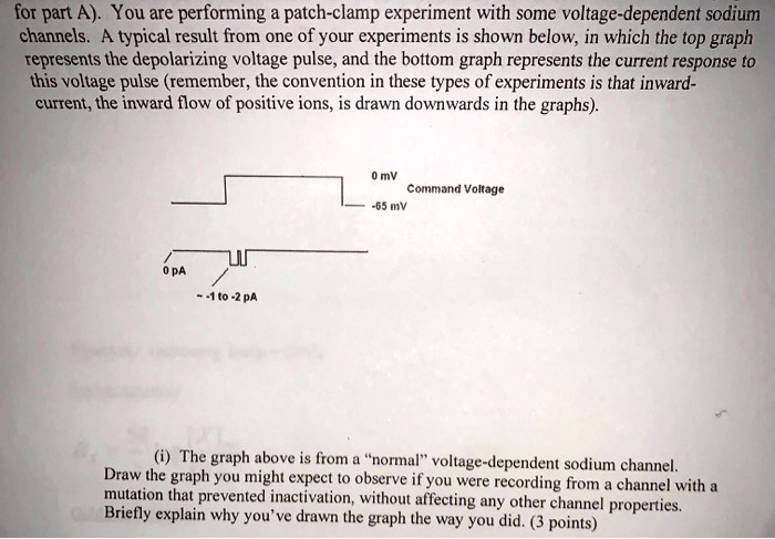 for part a you are performing a patch clamp experiment with some ...