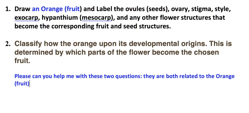 1 draw an orange fruit and label the ovules seeds ovary stigma style ...