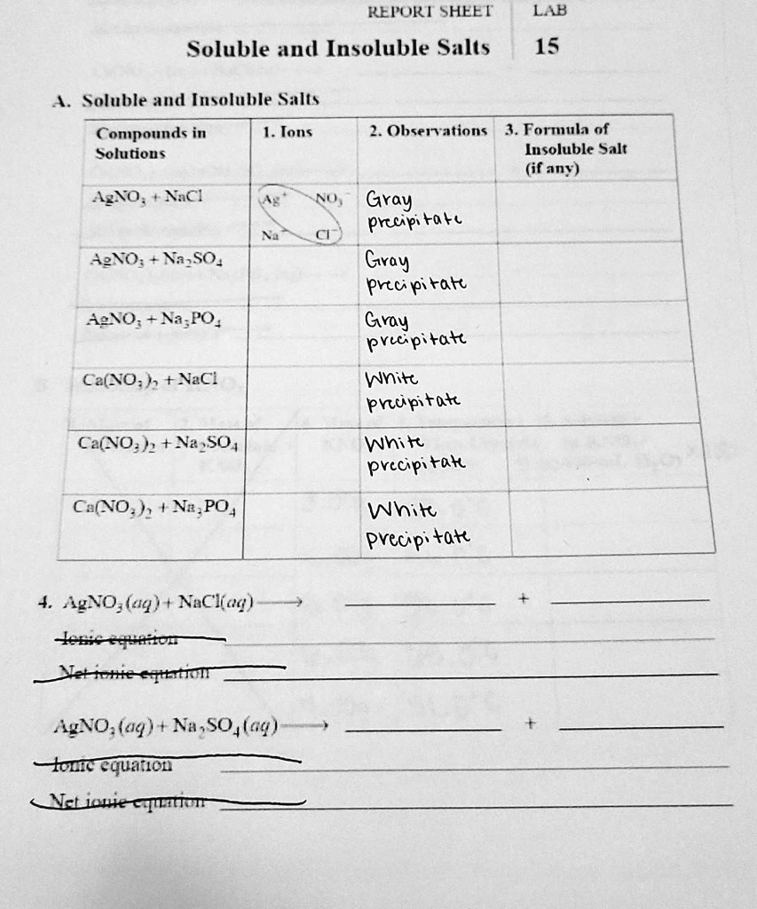 SOLVED: REPORT SHEET LAB Soluble and Insoluble Salts 15 A. Soluble and Insoluble Salts Compounds ...