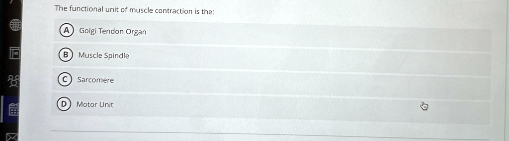 The functional unit of muscle contraction is the: A Golgi Tendon Organ ...