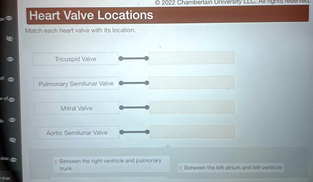 Heart Valve Locations Match each heart valve with its location. Tricuspid Valve Pulmonary ...