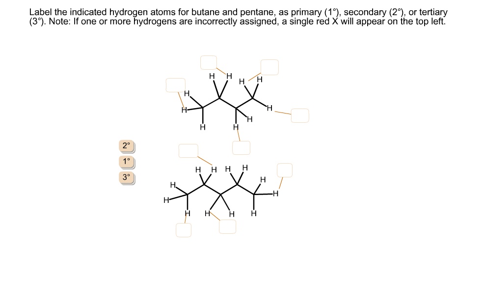 label the indicated hydrogen atoms for butane and pentane as primary ...