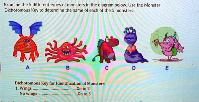 examine the 5 different types of monsters in the diagram below use the ...