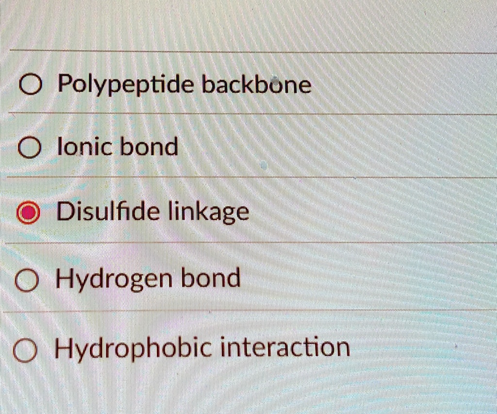 polypeptide backbone ionic bond disulfide linkage hydrogen bond ...