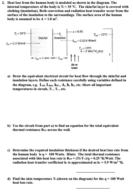 please help with this heat transfer problem 2 heat loss from the human ...