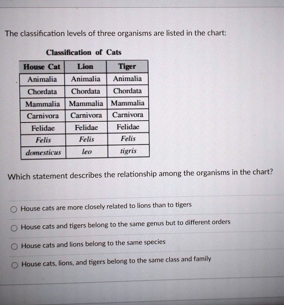 question is in the photo the classification levels of three organisms ...