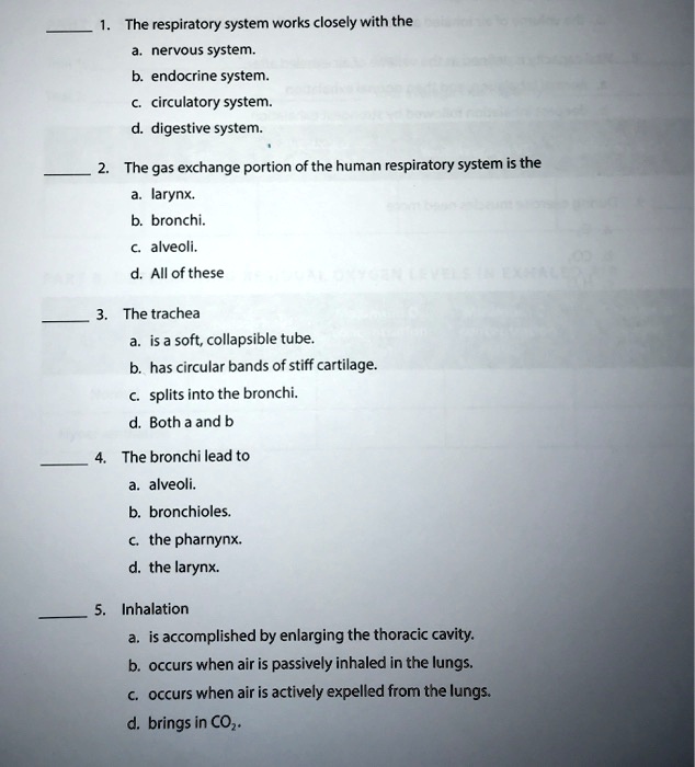 SOLVED: The respiratory system works closely with the nervous system ...