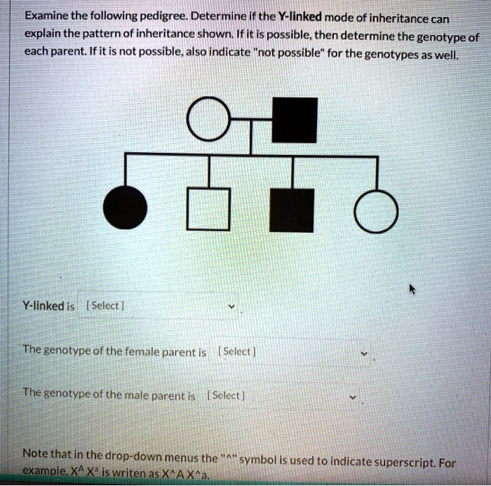 examine the following pedigree determine if the y linked mode of ...