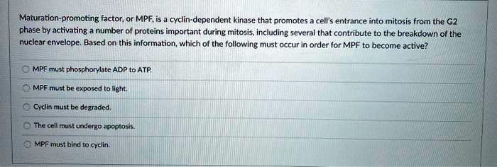 maturation promoting factor mpf is cyclin dependent kinase that ...