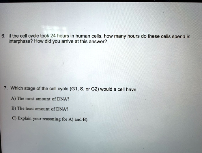 if the cell cycle took 24 hours in human cells how many hours do these cells spend in interphase ...