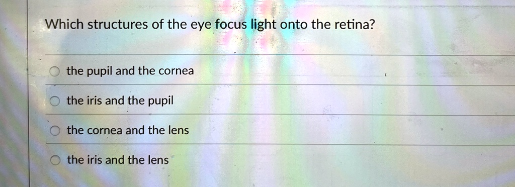 which structures of the eye focus light onto the retina the pupil and ...