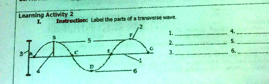 SOLVED: Label the parts of the transverse wave. Learning Activity 2 ...