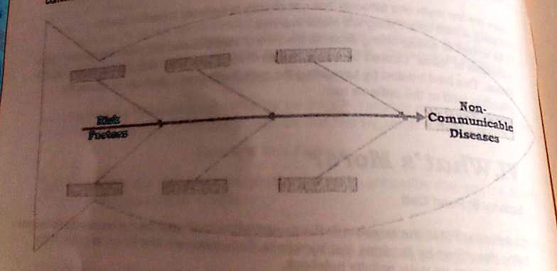 SOLVED: Complete the fishbone diagram below by writing the risk factors that cause non ...