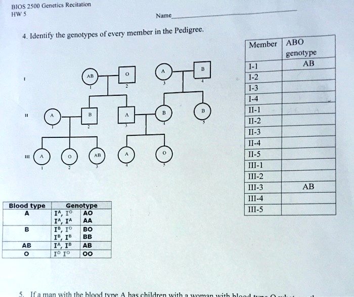 SOLVED: BIOS 2500 Genetics Recitation HW Name Identify the genotypes of ...