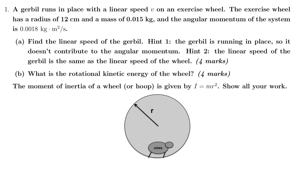 a gerbil runs in place with linear speed on an exercise wheel the ...