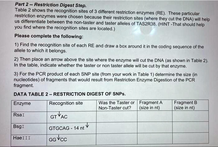 SOLVED: Part 2 Restriction Digest Step: Table 2 shows the recognition ...