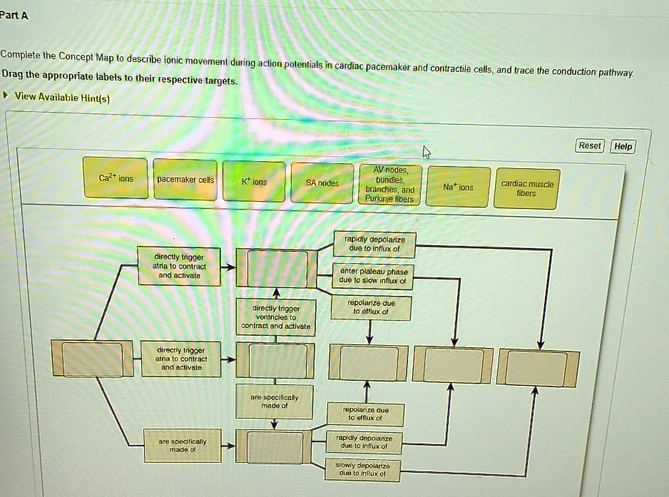 part a complete the concept map to describe ionic movement during ...