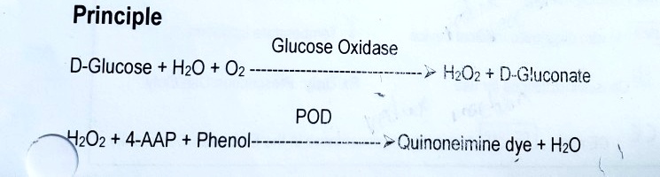 principle glucose oxidase d glucose hzo 02 hzoz d gluconate pod h2o2 4 ...