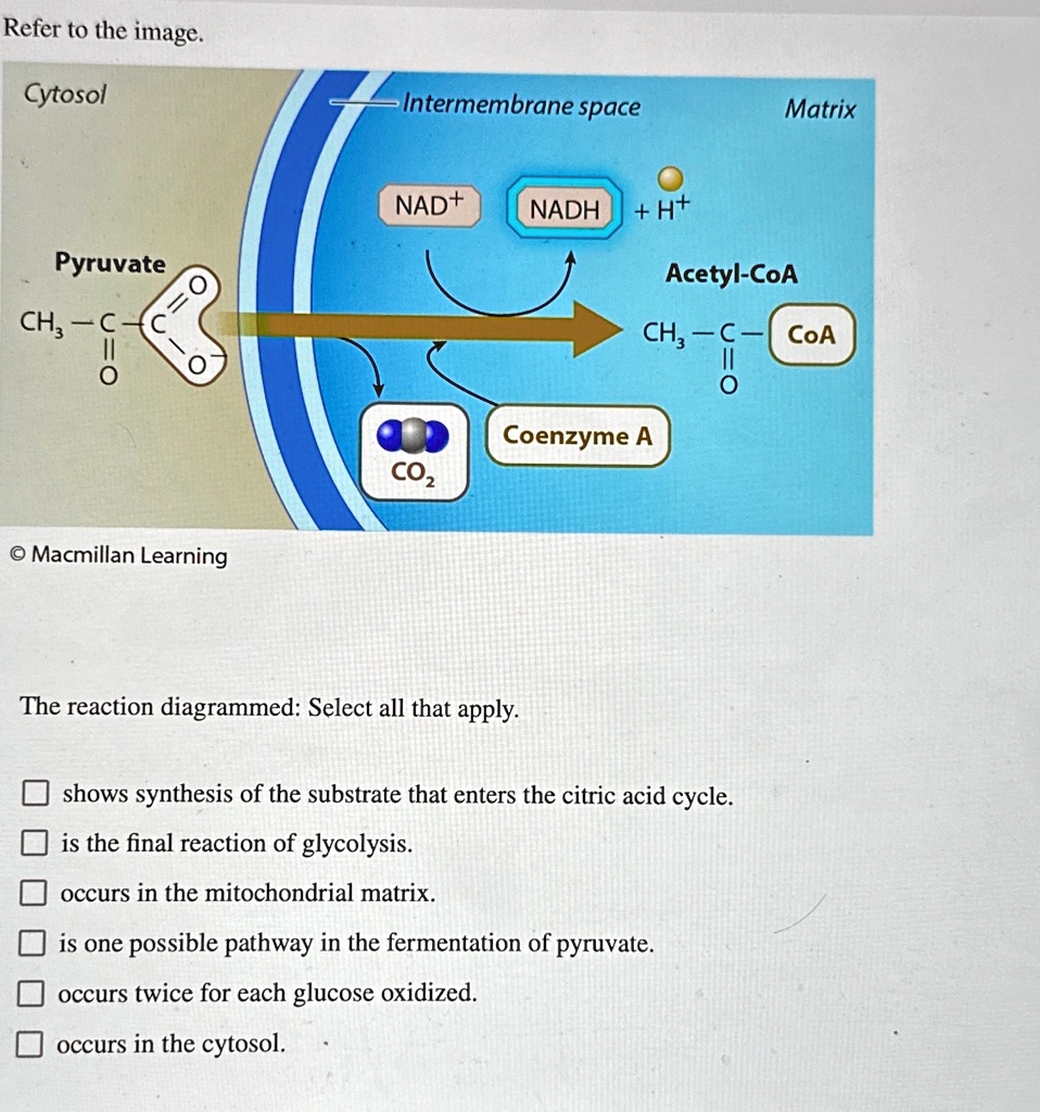 IviacmıIIan Learnıng The reaction diagrammed: Select all that apply ...