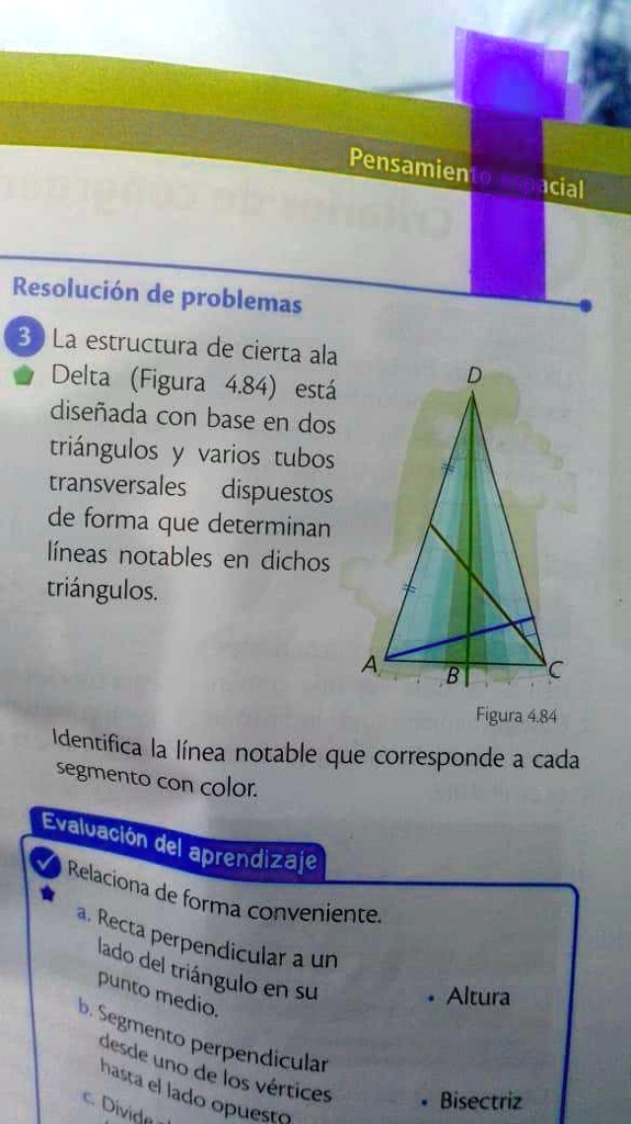 [GET ANSWER] la estructura de cierta ala delta figura 484 esta disenada ...