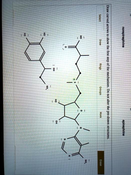 SOLVED: Draw curved arTOws brav norepinephrine to show the first step ...
