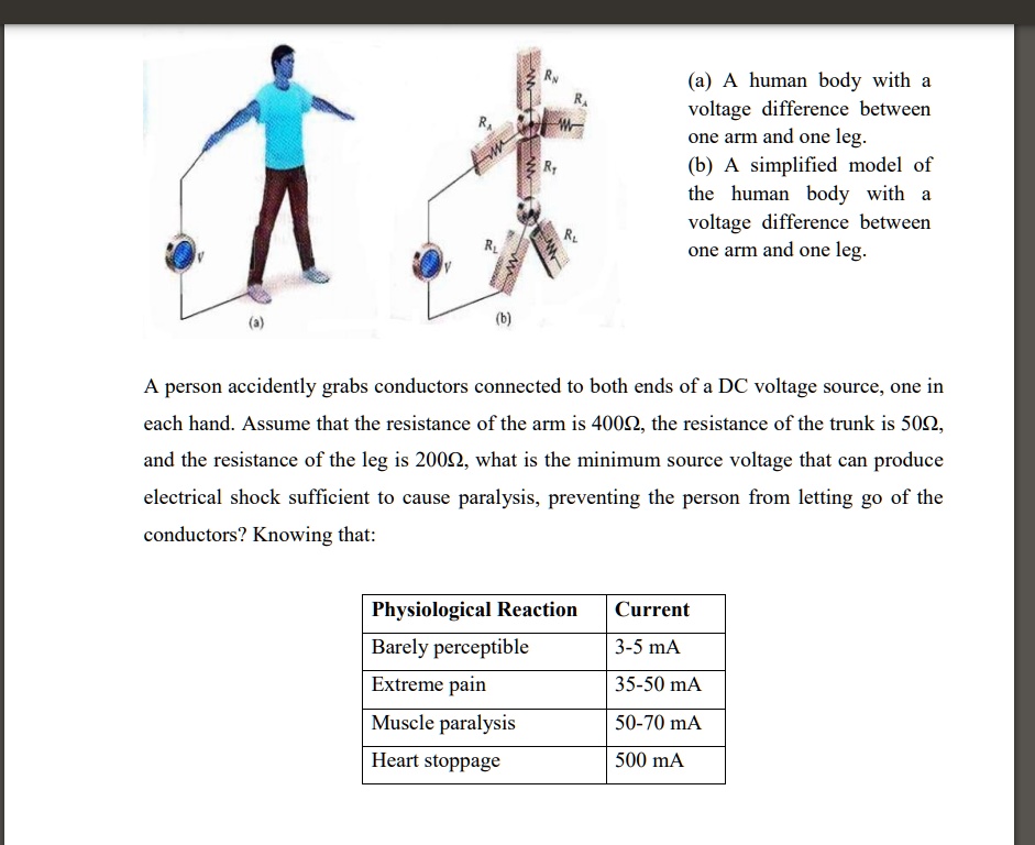 (a) RN RA R W RT RL V (b) W R (a) A human body with a voltage ...