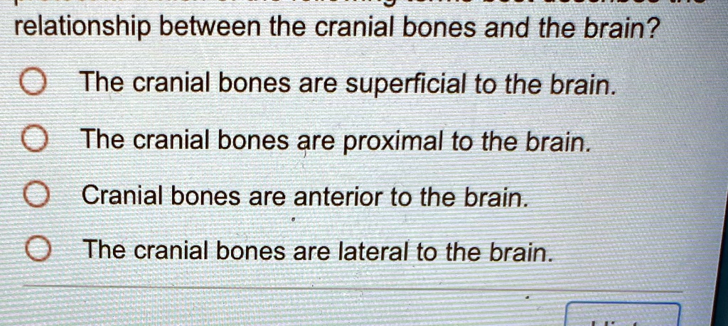 relationship between the cranial bones and the brain? The cranial bones ...